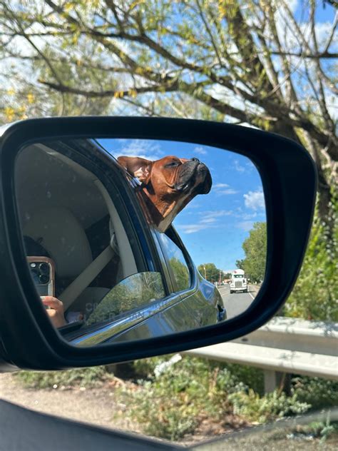 Mr Man Man Album On Imgur