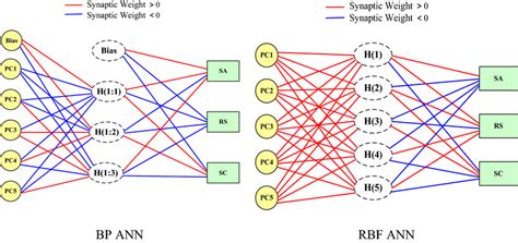 Structure Diagram Of Bp Ann And Rbf Ann Download Scientific Diagram