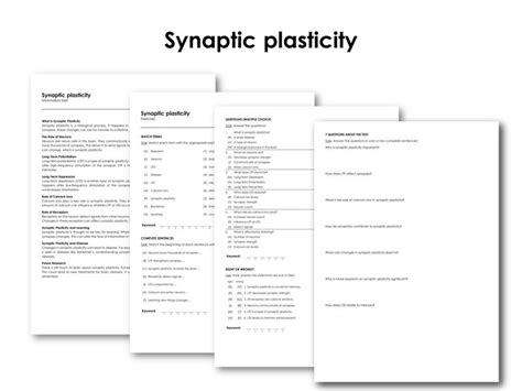 Synaptic Plasticity Made By Teachers