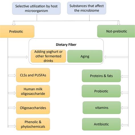 Natural Antioxidant Sources Examples Download Scientific Diagram