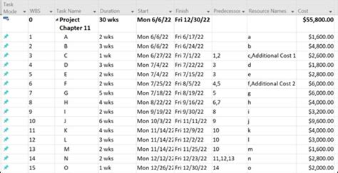 MS Project Tutorial Project Management