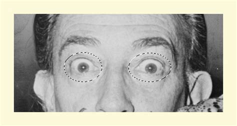 File Fig Ex Digital Foundations File Fig Ex Digital Foundations