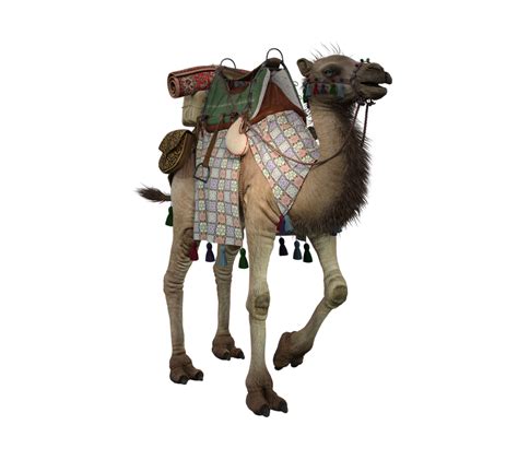 Camel 2 By Direwrath On Deviantart