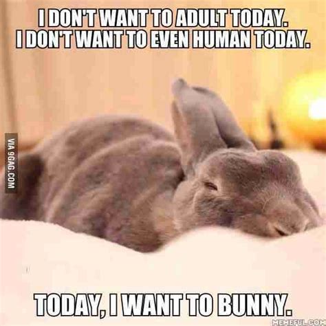 25 Funny Adulting Memes For Panicking Grown Ups