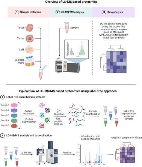 An Overview Of Glioblastoma Multiforme And Temozolomide Resistance Can Lc Ms Based Proteomics