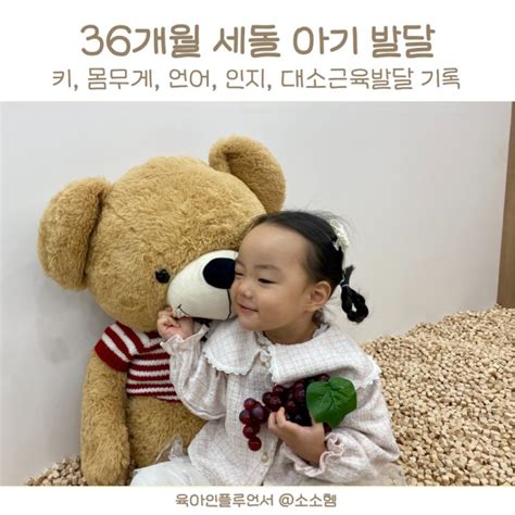 36개월 아기 발달 키 몸무게 언어 인지 대근육 소근육 발달 기본생활습관 기록 네이버 블로그