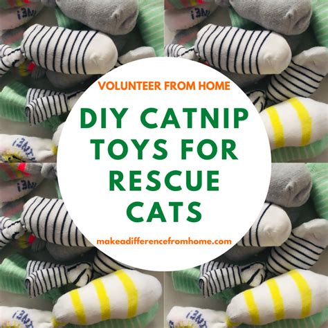 Volunteer From Home Diy Catnip Toys For Rescue Cats Make A