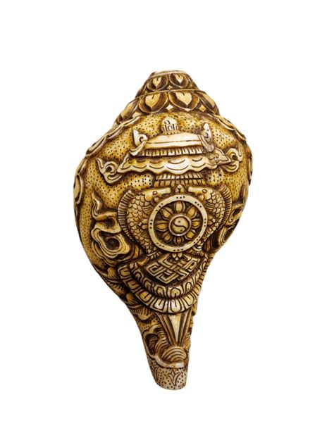 Conch Shell With Ashtamangala Hand Carved Price Us 90 Conch Shell