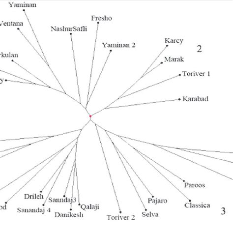 Un Weighted Pair Grouping Method Of Arithmetic Averages Dendrogram Of