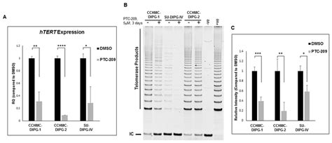 Ptc 209 Treatment Decreases Htert Expression And Telomerase Activity In