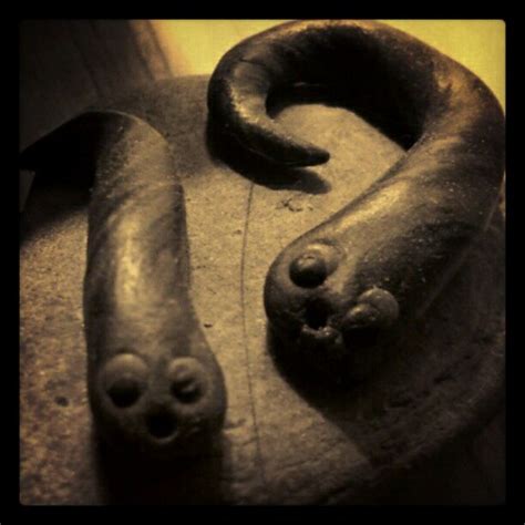 Chapter 1 Section 4 Worms Flashcards Quizlet