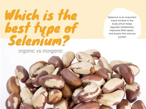 Best Form Of Selenium Supplement Cr Vitality