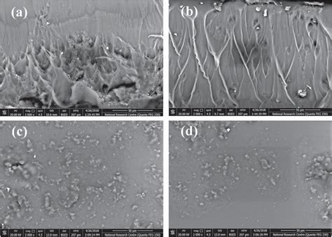 A B Sem Micrographs 2000× Of Fractured Surfaces For Pvc7wt Sio2
