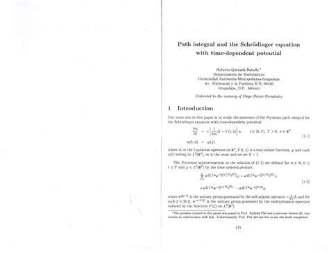 Pdf Path Integral For Dirac Equation In Momentum Space