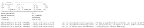 Spring Boot Custom Banner With Build Information