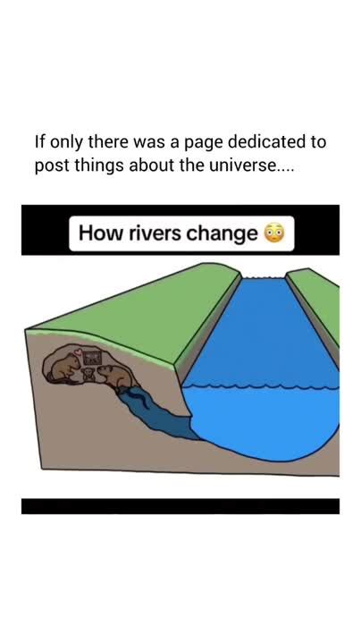 Dolly Rajput On Linkedin Universe