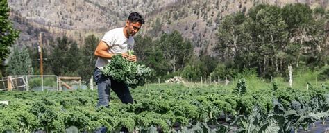 Farmfolk Cityfolk Amazia Farm Climate Solutions
