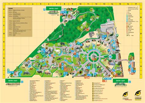 גן החיות שנברון יום כיף לכל המשפחה