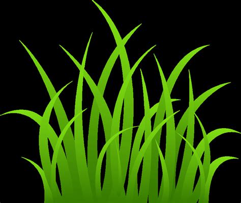 Grass Clipart Clipground