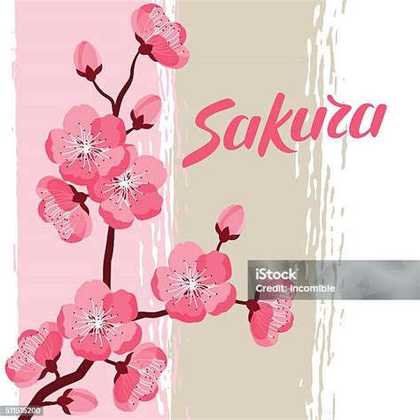 분재 Sakura 배경에 더해진 상이한 사이즈의 양식화된 꽃무늬 Stylized 이미지보다 공유일 초대 0명에 대한 스톡 벡터
