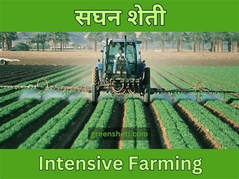 सघन शेती Intensive Farming No1 Types Of Best Farming