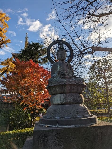 11月 滅罪会の感想その16 大森義成 滅罪生善道場 密教 善龍庵