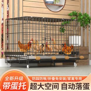 批发鸡笼子家用大号特大加粗养殖笼鸡舍鸡笼鸭笼折叠自动滚蛋鸡笼 阿里巴巴