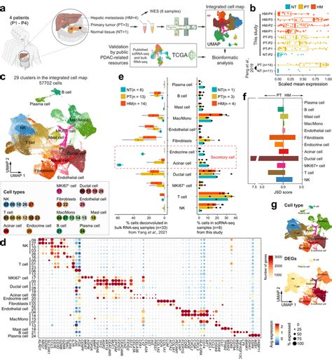 Single Cell Transcriptomic Analysis In Primary And Matched Metastatic