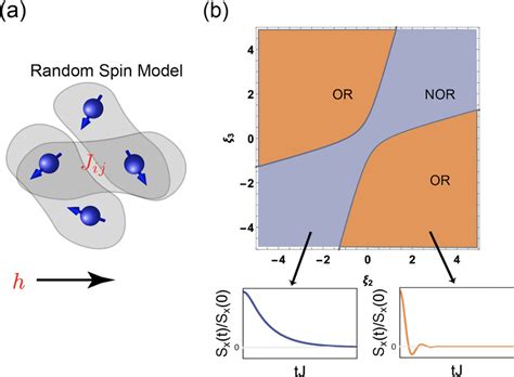 A Schematics Of The Random Spin Model With Random Anisotropic