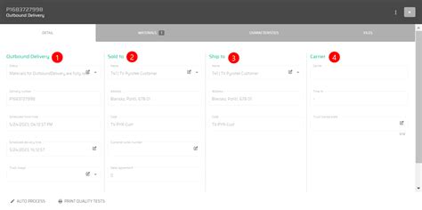 Outbound Delivery Dialog