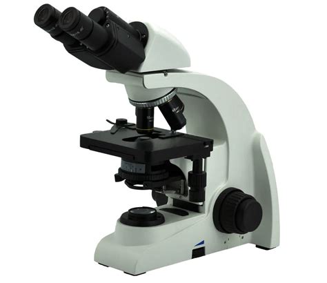 Compound Microscope Lab 1 Compound Microscope Simple
