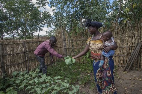Ensuring Production Of And Access To Nutritious Foods For Complementary Feeding Global