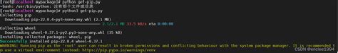 银河麒麟v10安装pip、virtualenv、银河麒麟python没有pip Csdn博客
