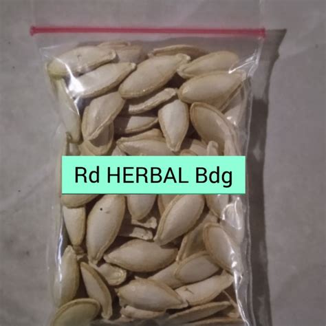 Jual Biji Labu Kuning 20biji Asli Shopee Indonesia