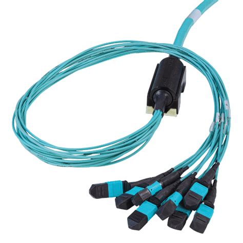 Understanding The Complete Spectrum Of Fiber Optic Trunk Cable Ascentoptics Blog