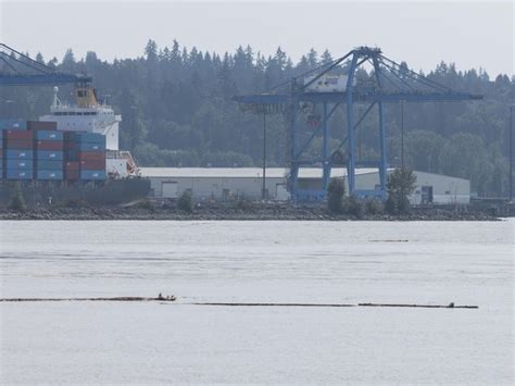 Debris From Chilcotin Slide Reaches Metro Vancouver And Salish Sea