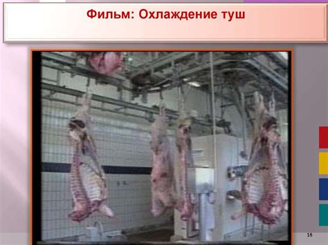 Технология убоя крупного рогатого скота презентация онлайн