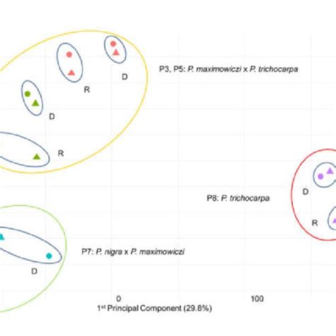 Principal Component Analysis Pca Based On Annotated Transcripts In 16