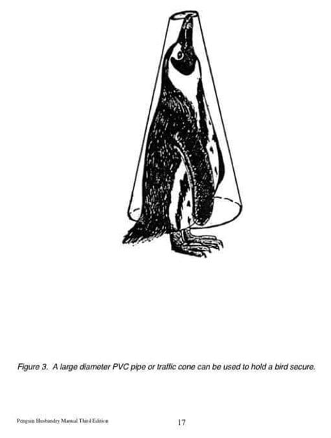 Scientific Diagrams That Look Like Shitposts Album On Imgur