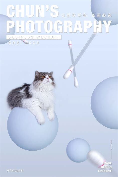 宠物用品拍摄 猫咪洗护 猫用棉签 X 万有引力摄影摄影师春生说 站酷zcool