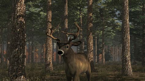 Deer Simulator