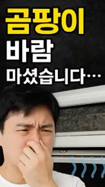 에어컨 곰팡이 바람… 이거 안 뿌리면 다 마십니다 Youtube