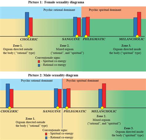 THE DIAGRAM OF SEXUALITY Divinetics