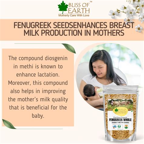 Usda Organic Fenugreek Seed Methi Dana