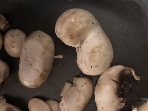 This Mushroom Looks Like A Butt Rmildlyinteresting