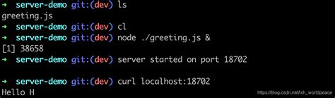 ssh远程端口转发（打洞） ssh fnr csdn博客
