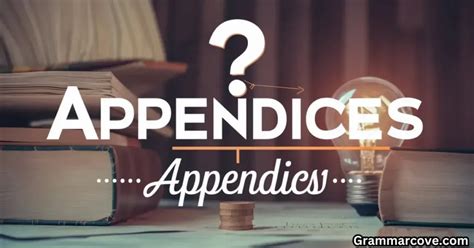 Appendices Or Plural Of Appendix Clarifying Usage Grammar Cove