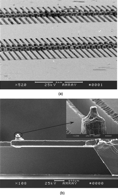A Backside View Of The Highly Dense And Uniform Probe Arrays B Download Scientific Diagram