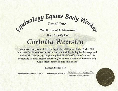Certification Longhorn Equine Therapy