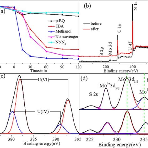 The Synthesis Of Z Scheme Mos2 G C3n4 Heterojunction For Enhanced Visible Light Driven